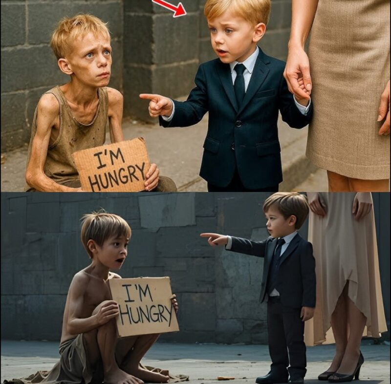 Mamma, han är min bror! - sa Den lille pojken till sin miljonärsmamma ...